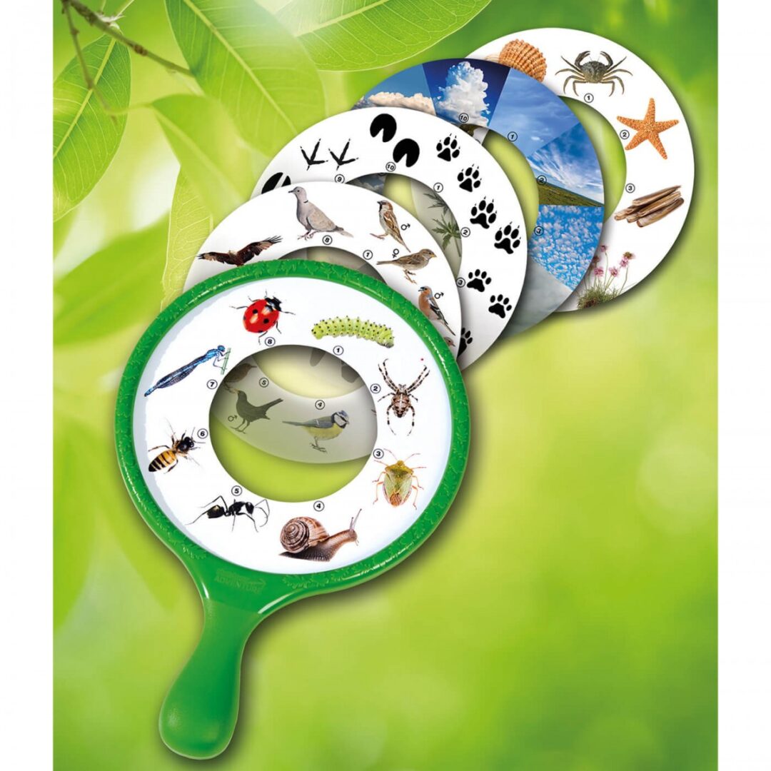 Outdoor Adventure Nature Explorer - Fun Learning